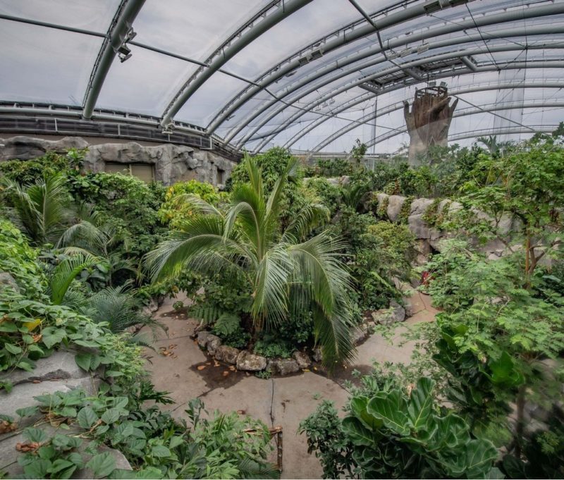 Chester Zoo Monsoon Habitat – TMD Building Consultancy